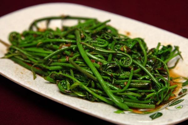 Midin Belacan - Backyard Tour