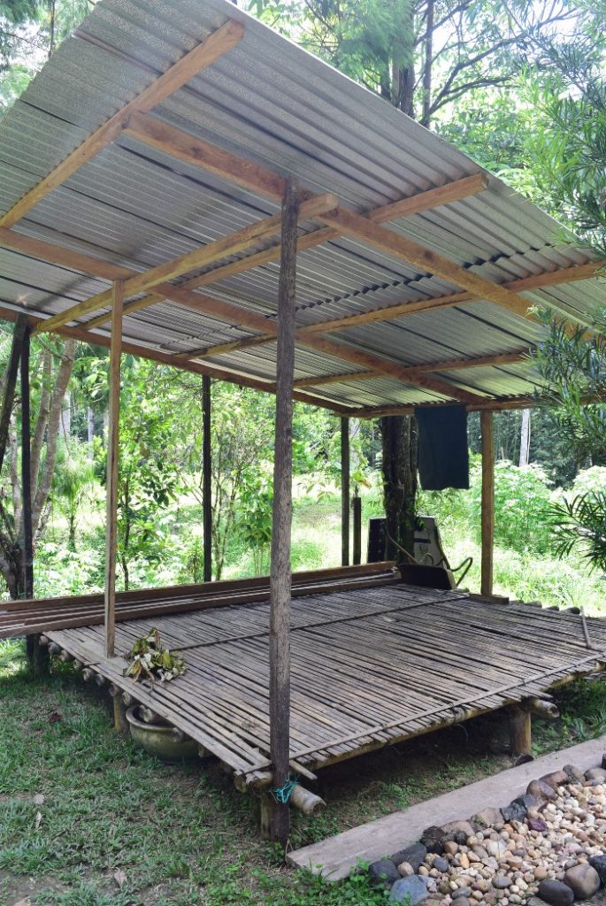 Shed made from bamboo - Backyard Tour